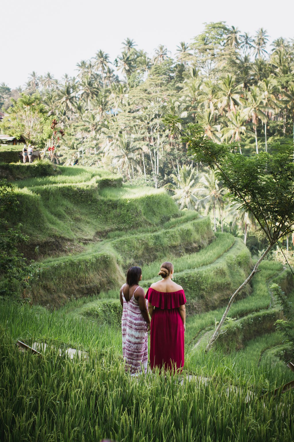 Bali Photographers - Hire a Professional Vacation or Proposal ...